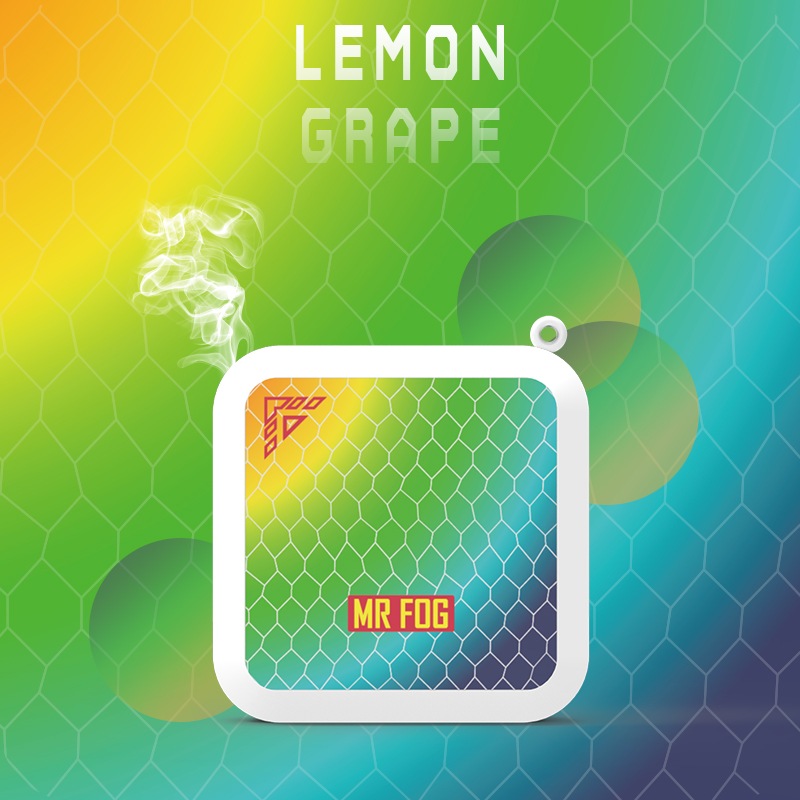 MR FOG MINI Lemon Grape – Finest Vaping